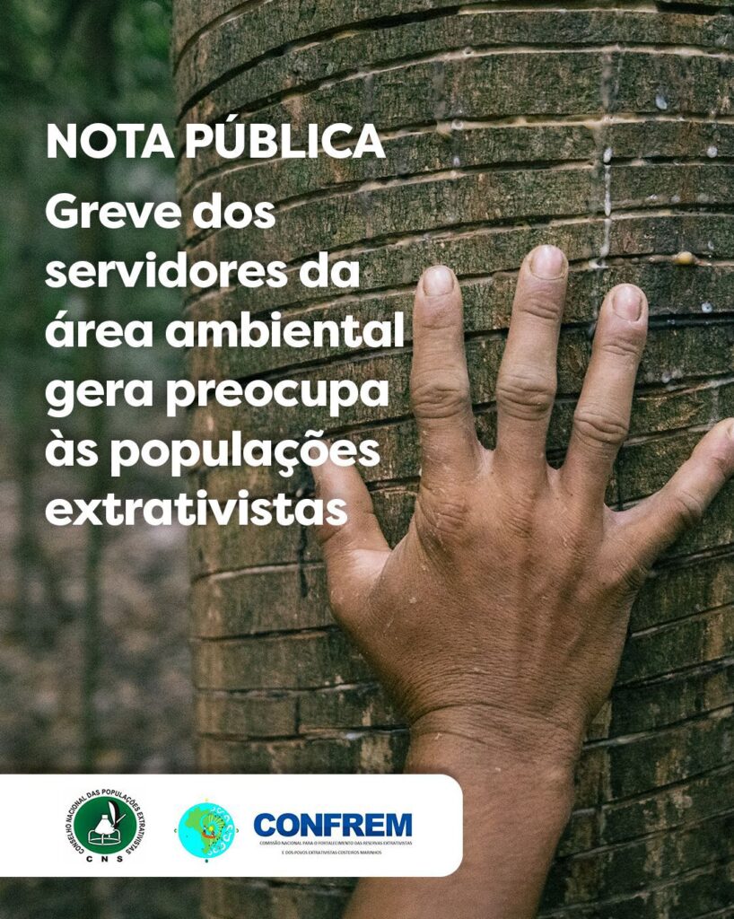 PERFIL – CNS Brasil